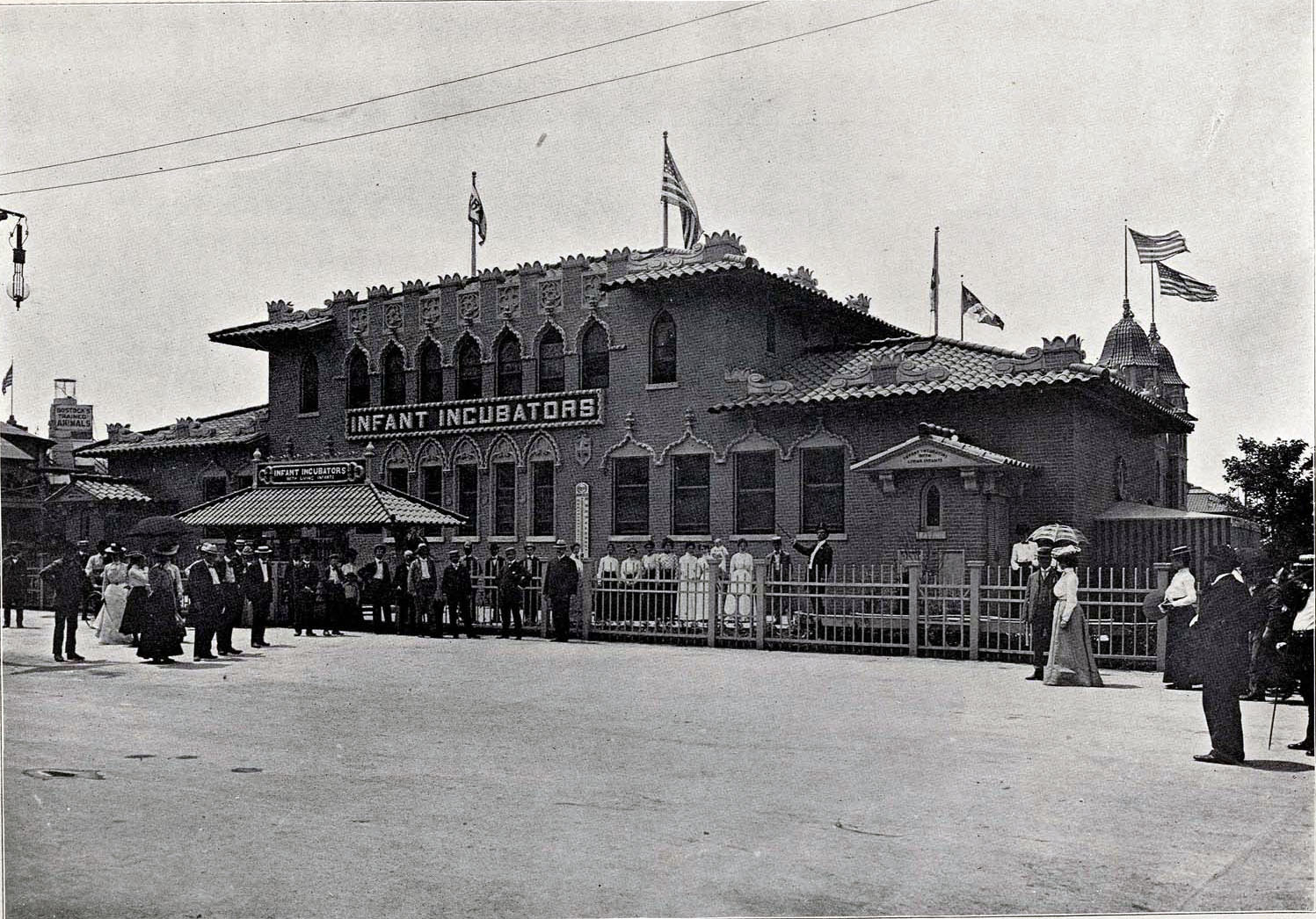 Pan-American Exposition, 1901 – Neonatology on the Web